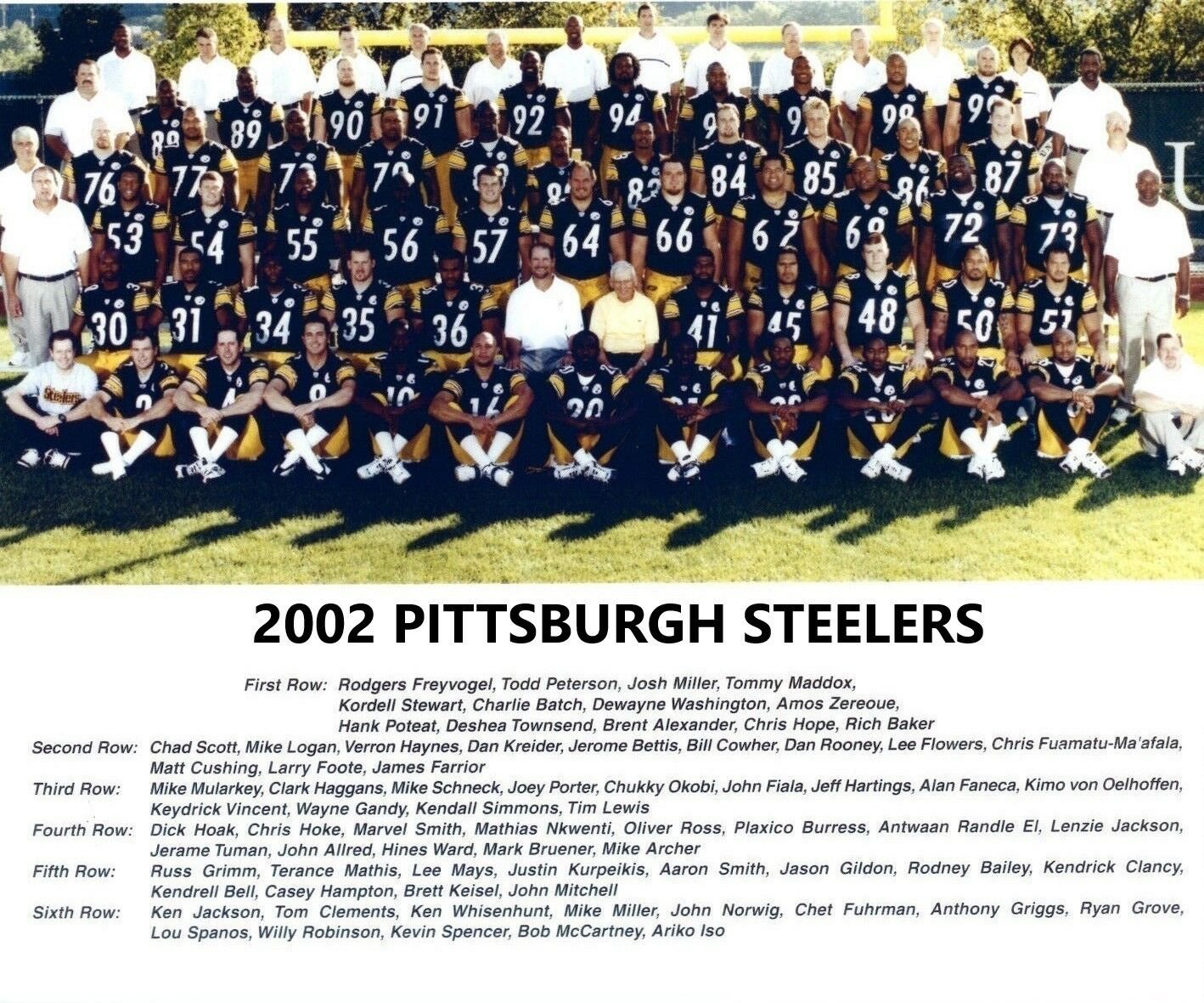 2002 PITTSBURGH STEELERS 8X10 TEAM PHOTO FOOTBALL PICTURE NFL