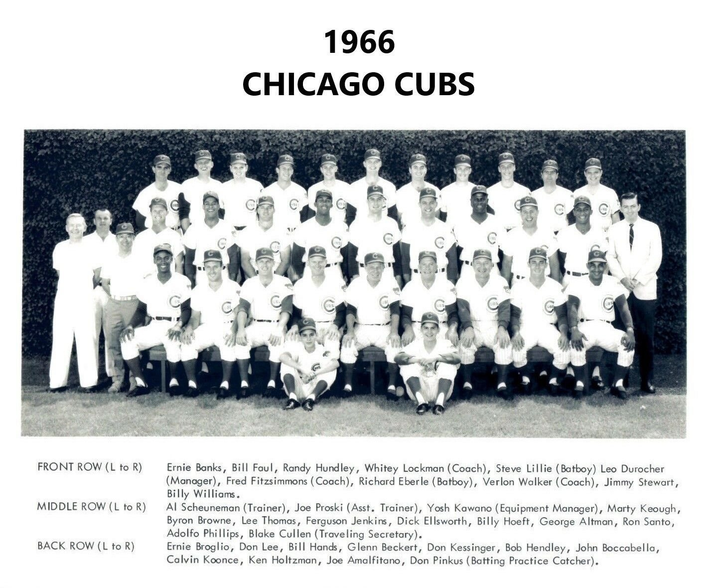 1966 CHICAGO CUBS 8X10 TEAM PHOTO BASEBALL PICTURE MLB
