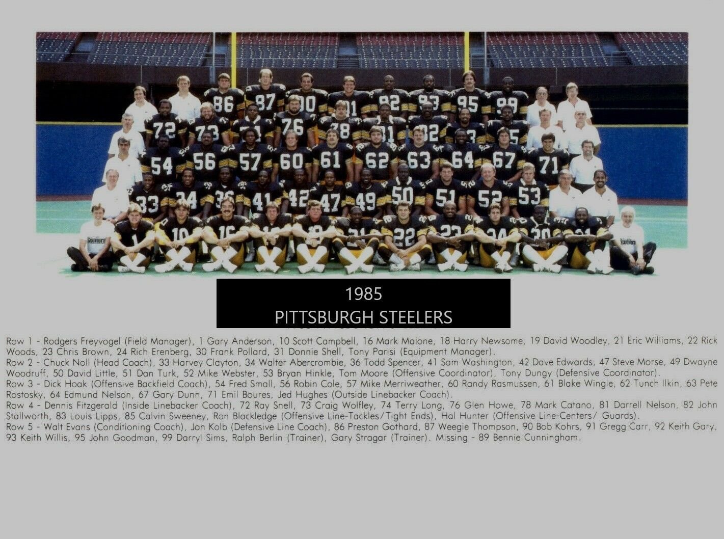 1985 PITTSBURGH STEELERS 8X10 TEAM PHOTO NFL FOOTBALL PICTURE