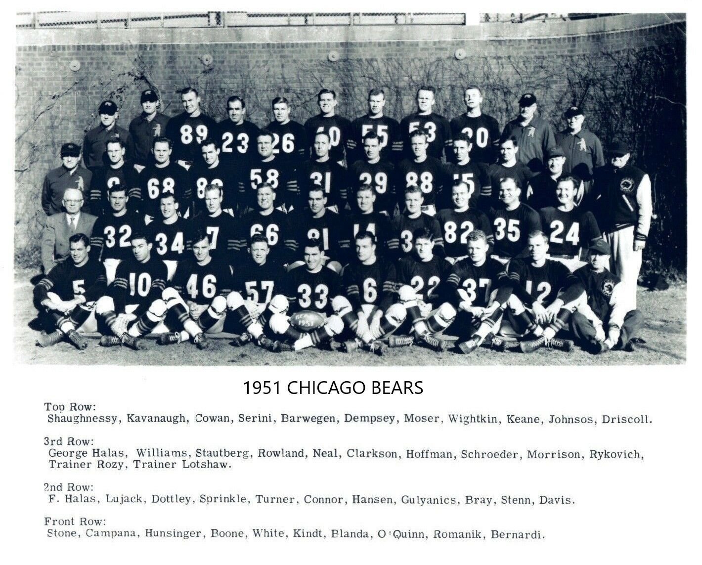 1951 CHICAGO BEARS 8X10 TEAM PHOTO FOOTBALL PICTURE NFL