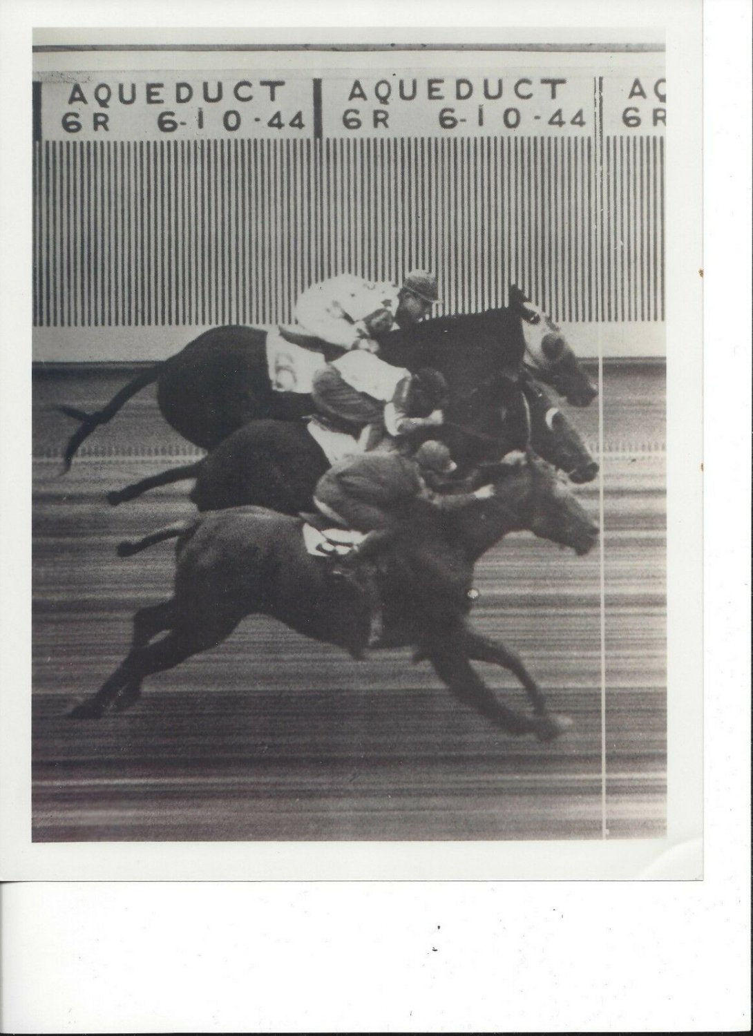 TRIPLE DEAD HEAT 8X10 PHOTO HORSE RACING PICTURE JOCKEY AQUEDUCT