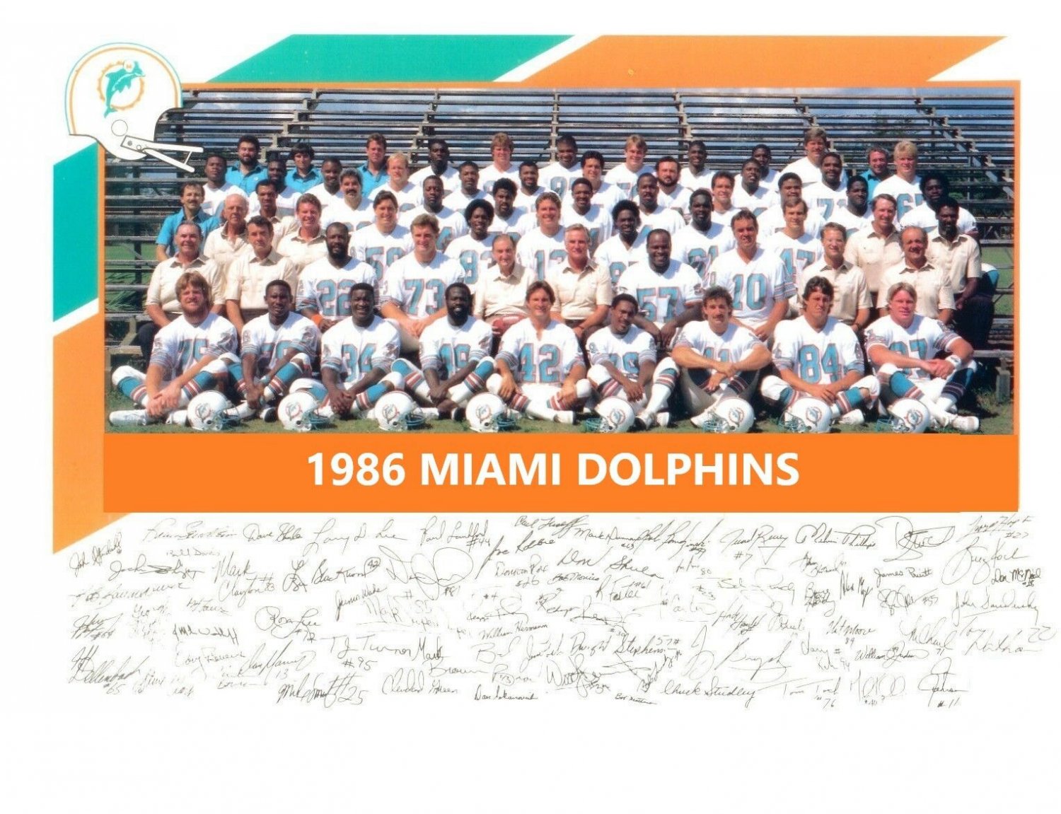 1986 MIAMI DOLPHINS 8X10 TEAM PHOTO PICTURE NFL FOOTBALL