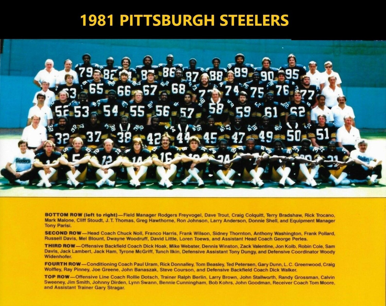 1981 PITTSBURGH STEELERS 8X10 TEAM PHOTO FOOTBALL PICTURE NFL