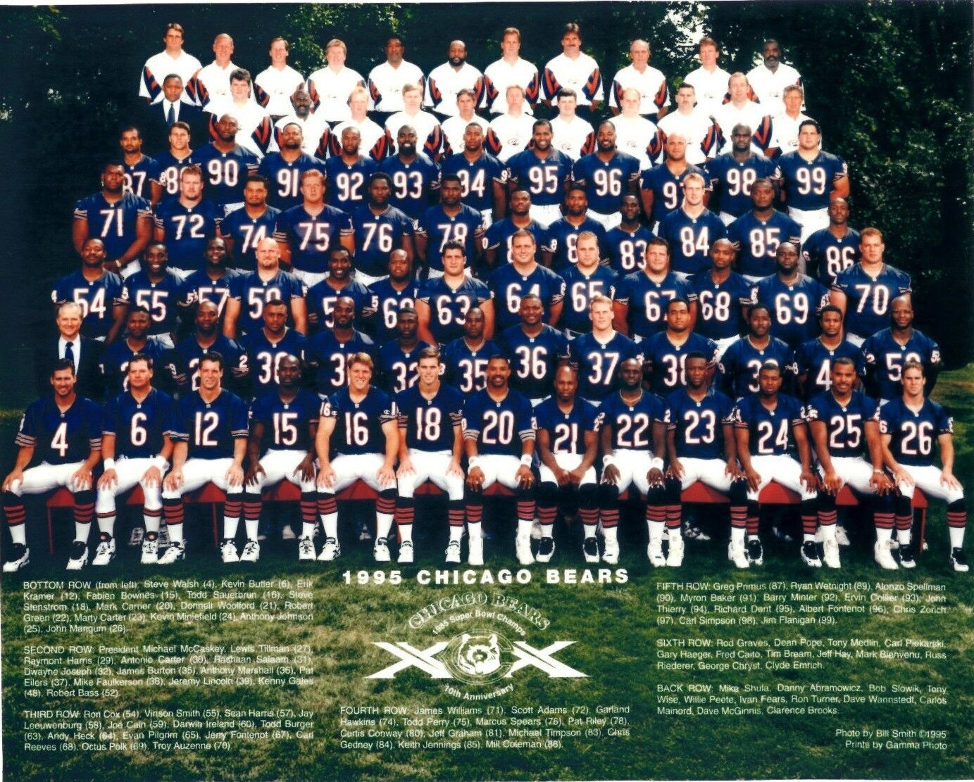 1995 CHICAGO BEARS 8X10 TEAM PHOTO FOOTBALL NFL PICTURE