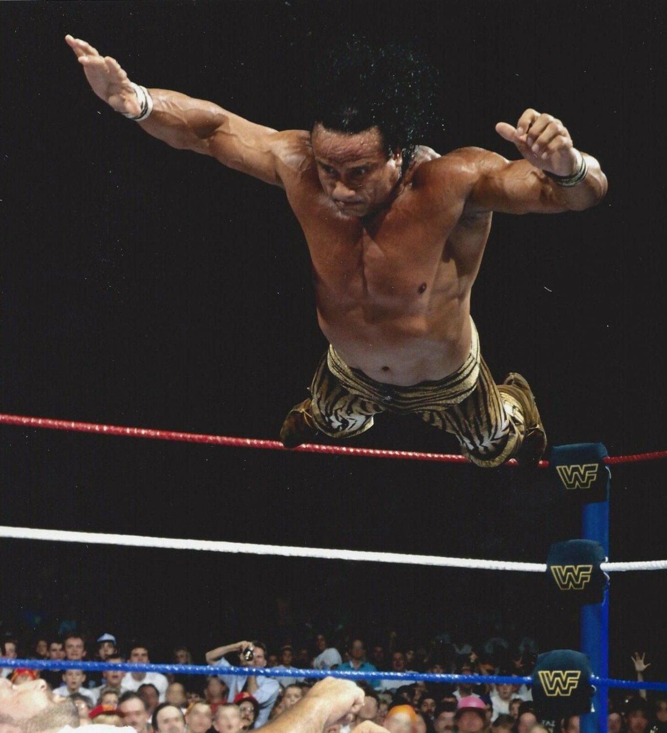 JIMMY SUPERFLY SNUKA 8X10 PHOTO WRESTLING PICTURE WWF OFF TOP ROPE