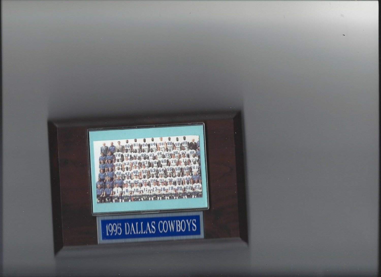 DALLAS COWBOYS 1995 TEAM PLAQUE FOOTBALL NFL