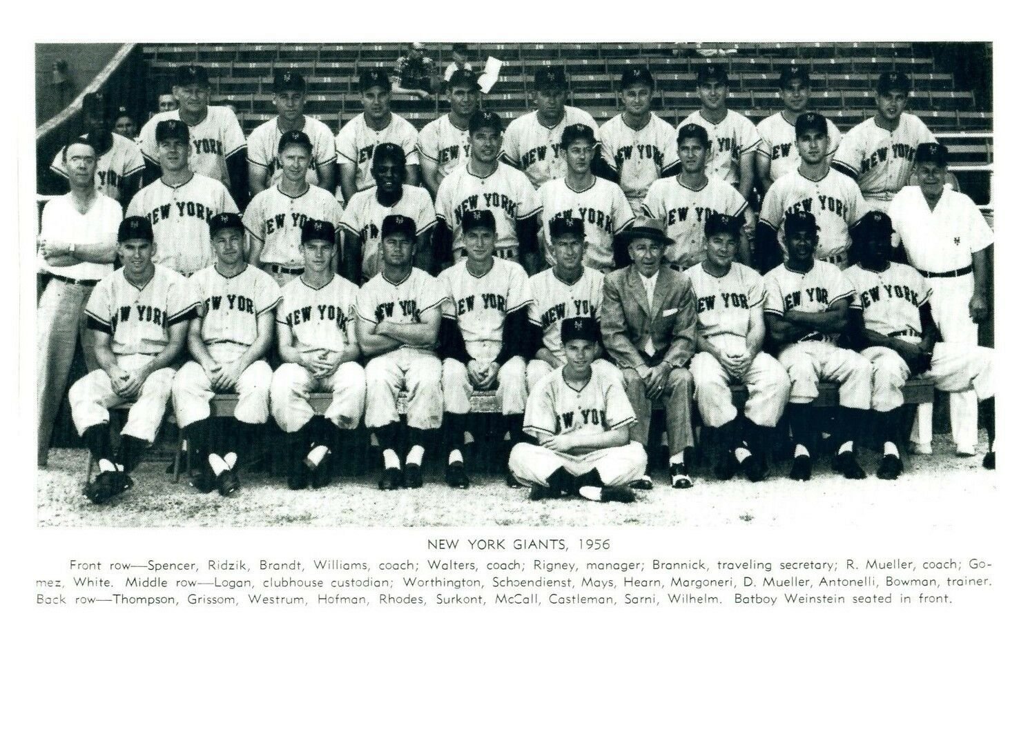 1956 NEW YORK GIANTS 8X10 TEAM PHOTO BASEBALL MLB PICTURE NY