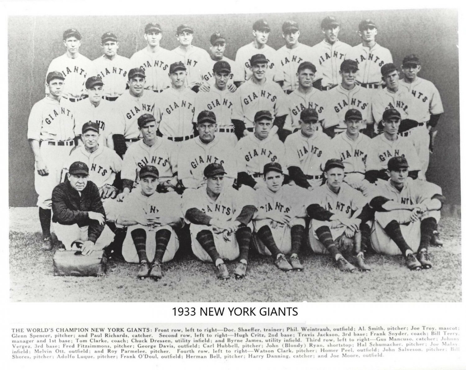 1933 NEW YORK GIANTS 8X10 TEAM PHOTO BASEBALL PICTURE NY NL CHAMPS MLB