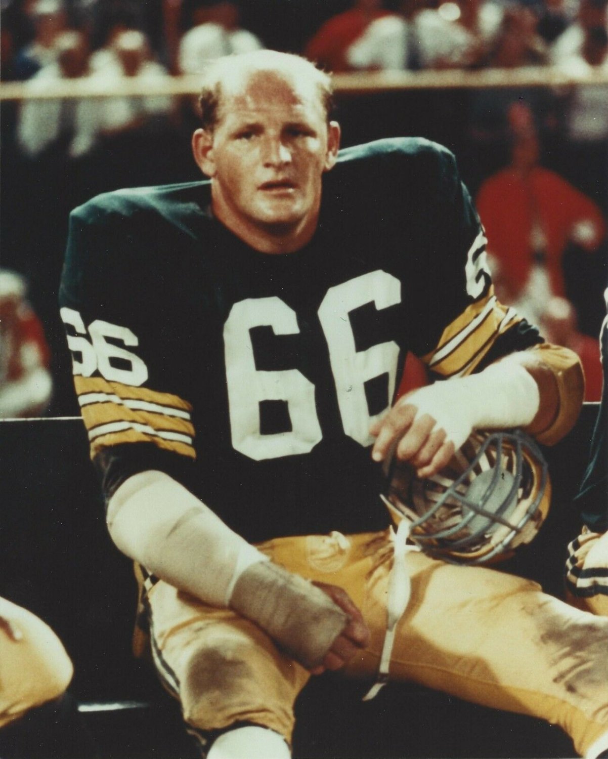 RAY NITSCHKE 8X10 PHOTO GREEN BAY PACKERS PICTURE NFL FOOTBALL ON BENCH