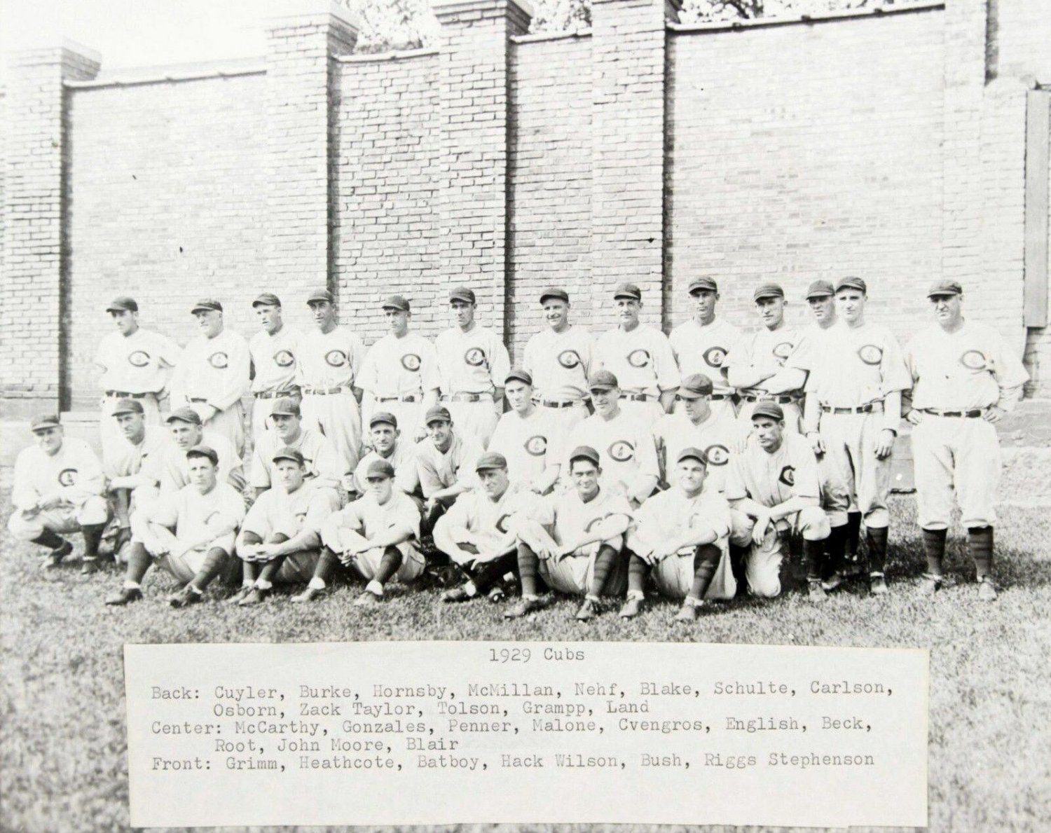 1929 CHICAGO CUBS 8X10 TEAM PHOTO BASEBALL MLB PICTURE