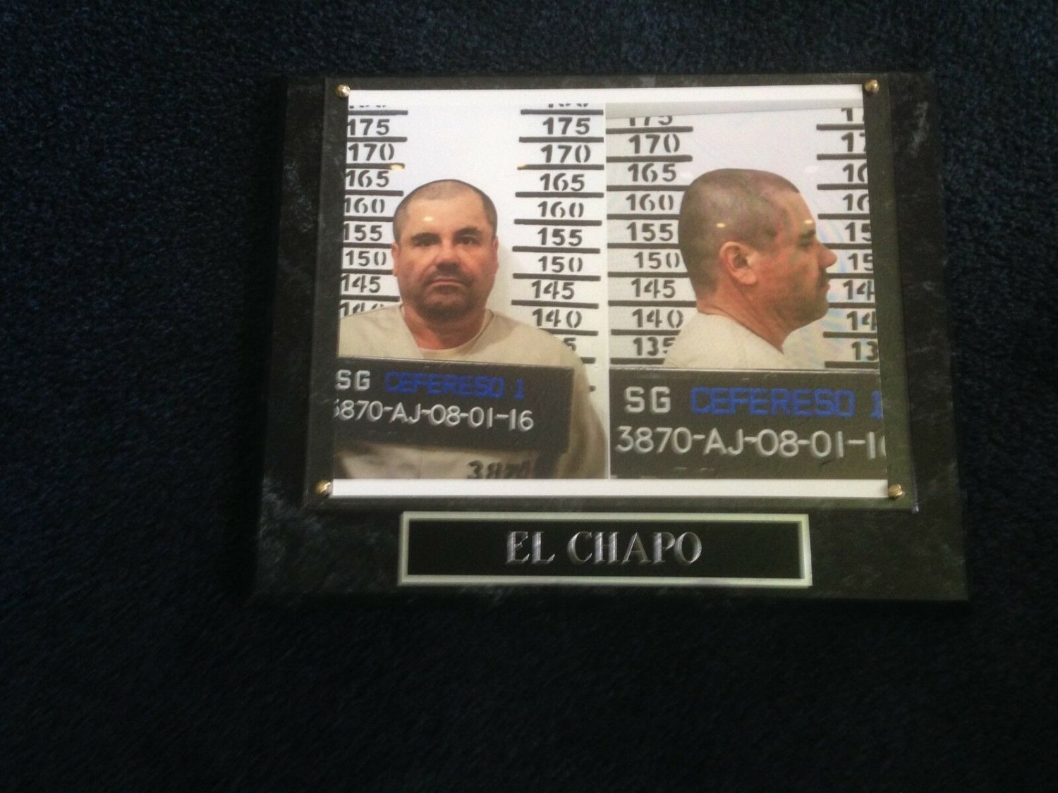 EL CHAPO WANTED 8x10 PHOTO & PLAQUE MEXICO ORGANIZED CRIME DRUG CARTEL ...