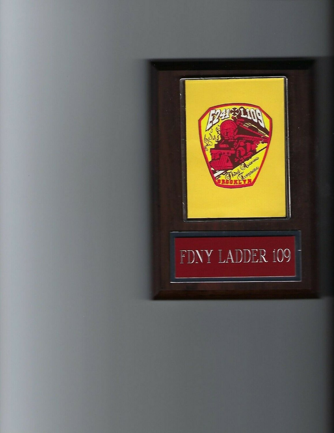 FDNY LADDER 109 PLAQUE FIREFIGHTING 1ST RESPONDER PHOTO PLAQUE ENGINE 241
