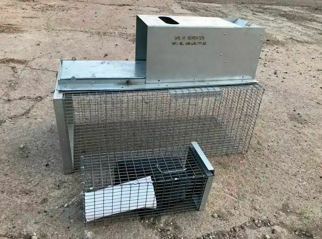 Live Repeater Trap For Rats