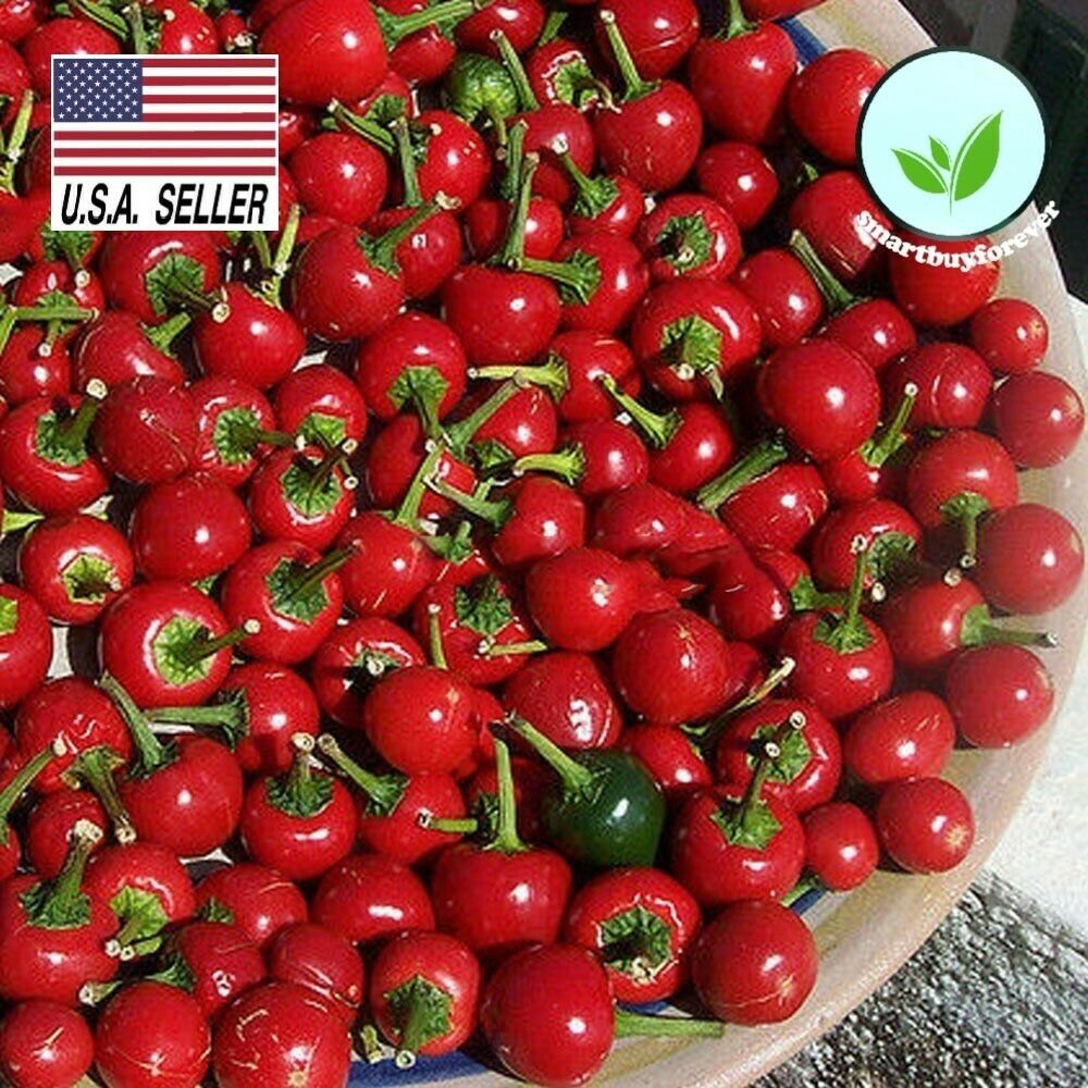 Kolokolo Store 50 seeds RED CHERRY SWEET PEPPER GARDEN VEGETABLE SEEDS ...