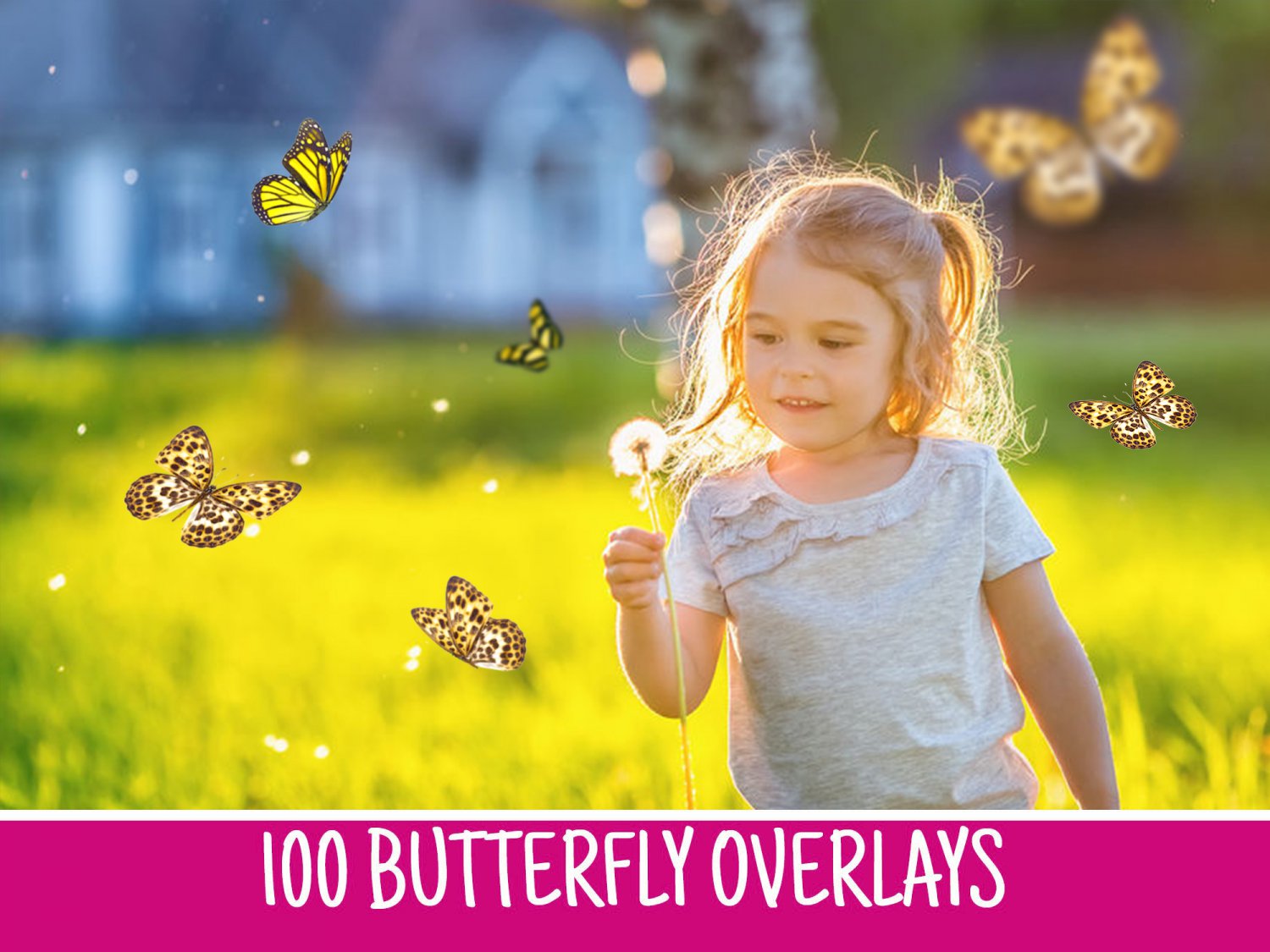 100 butterfly overlays:wedding overlays, flying butterfly photo ...