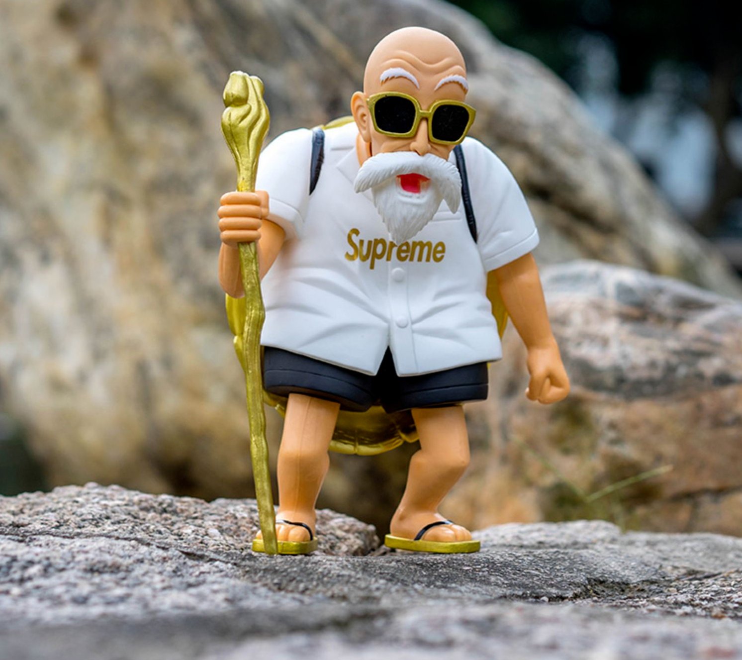 Anime Dragon Ball Z Master Roshi Figure Muten Roshi Goldern shell 25cm ...