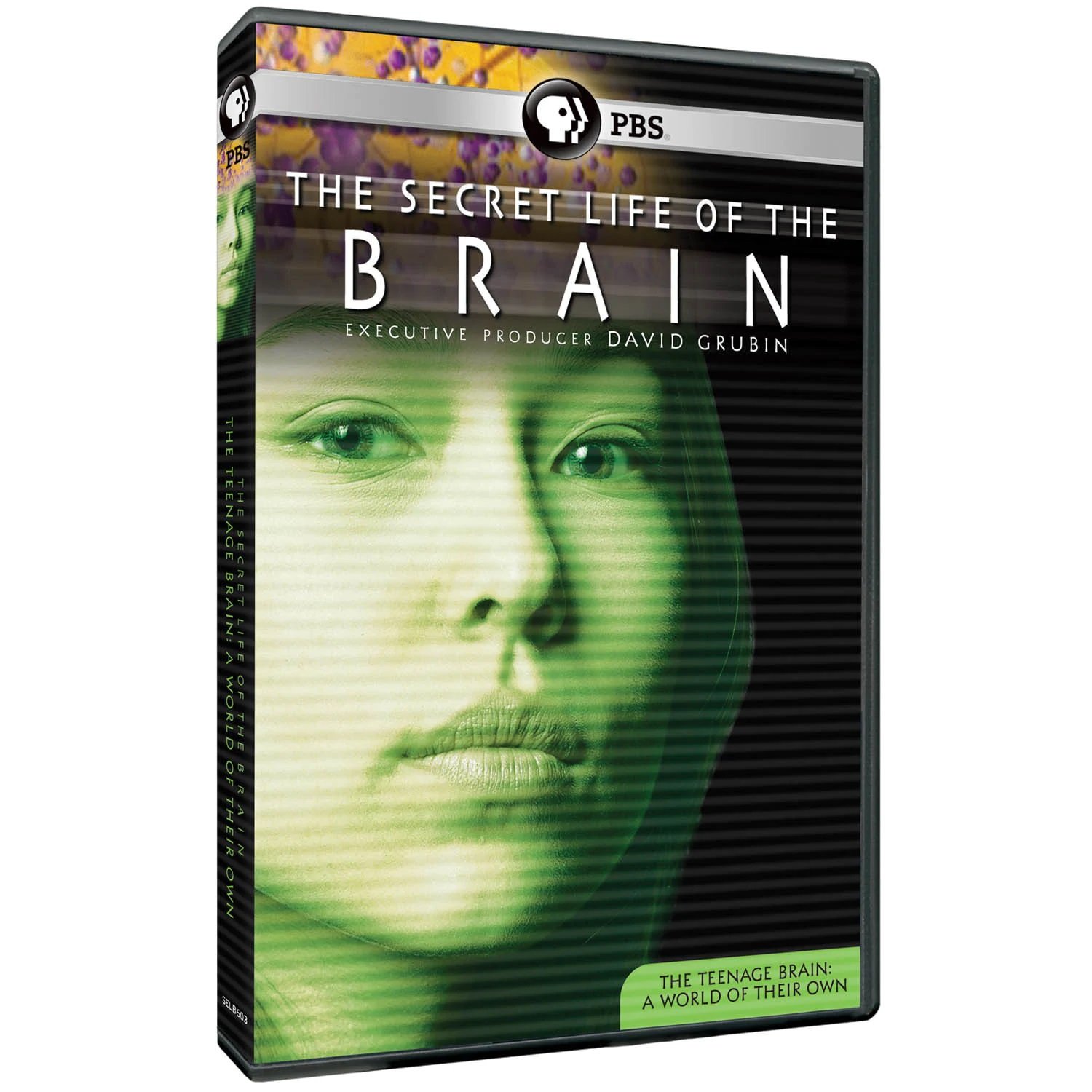 Secret Life of the Brain: The Teenage Brain DVD - SEALED!