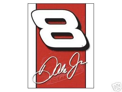 DALE EARNHARDT JR #8 TIN SIGN NASCAR COLLECTOR SIGNS E