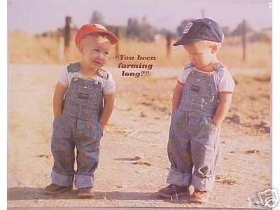 YOU BEEN FARMING LONG PICTURE PRINT SIGN 16 x 20 L