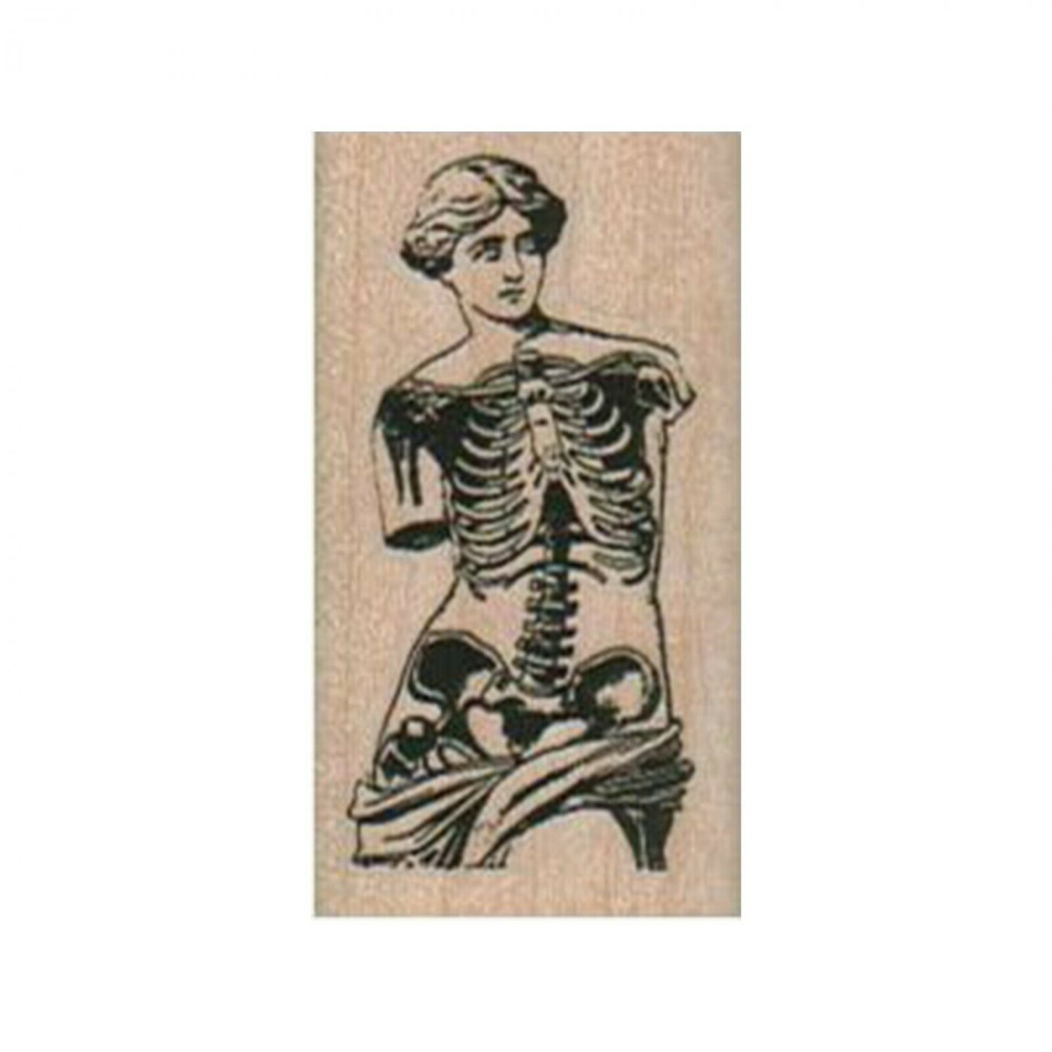 New Anatomy RUBBER STAMP, Lady Exposed Stamp, Skeleton Stamp, Medical Stamp