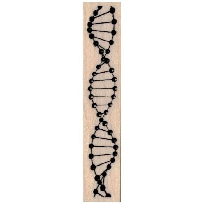 NEW DNA Strand/Helix Rubber Stamp, DNA Stamp, Double Helix Stamp ...