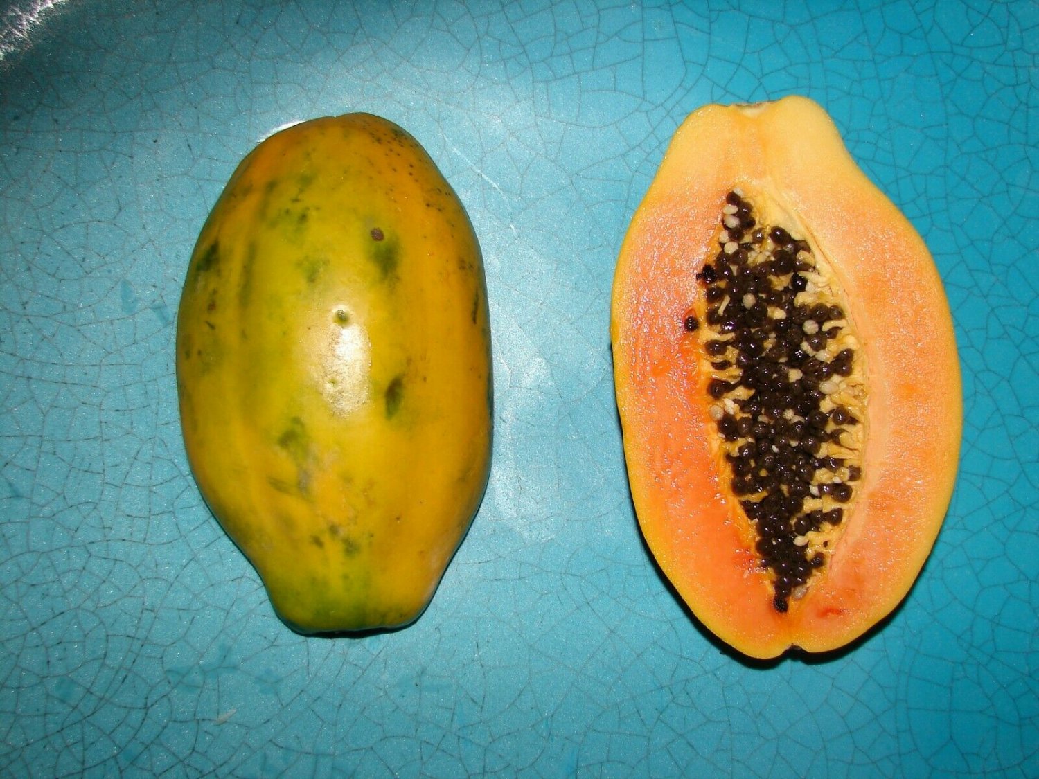 ~DIAMONDHEAD~ PAPAYA Hybrid KAPOHO SOLO BEST Papaya UH Cultivar 30+ SEED