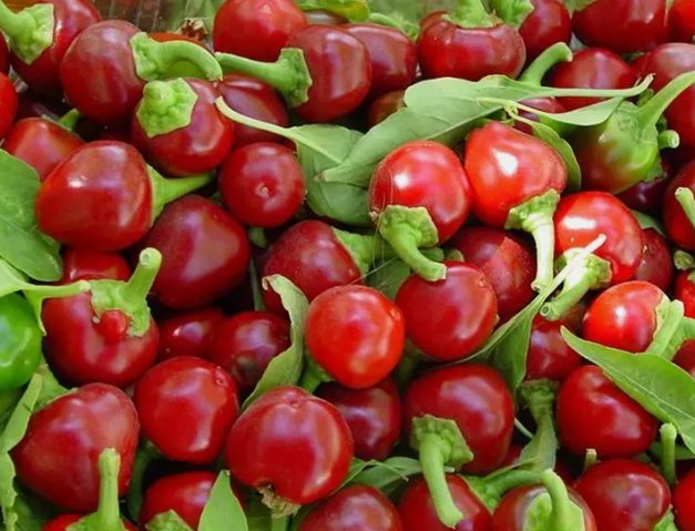 50 Red Cherry Hot Pepper Seeds Cherry Bombs Pimenta Non-Gmo Heirloom ...