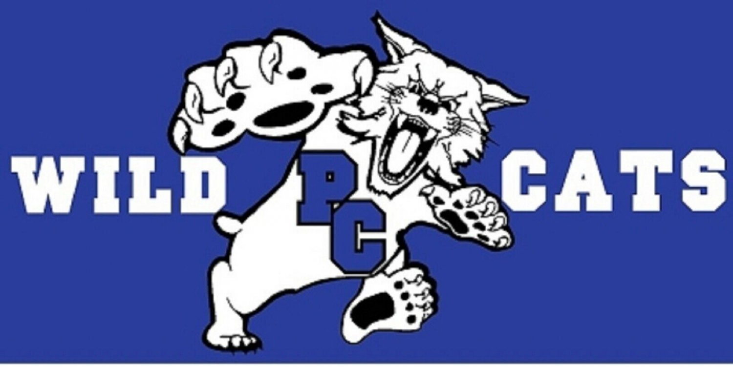 Pendleton County West Virginia Wildcats License Plate