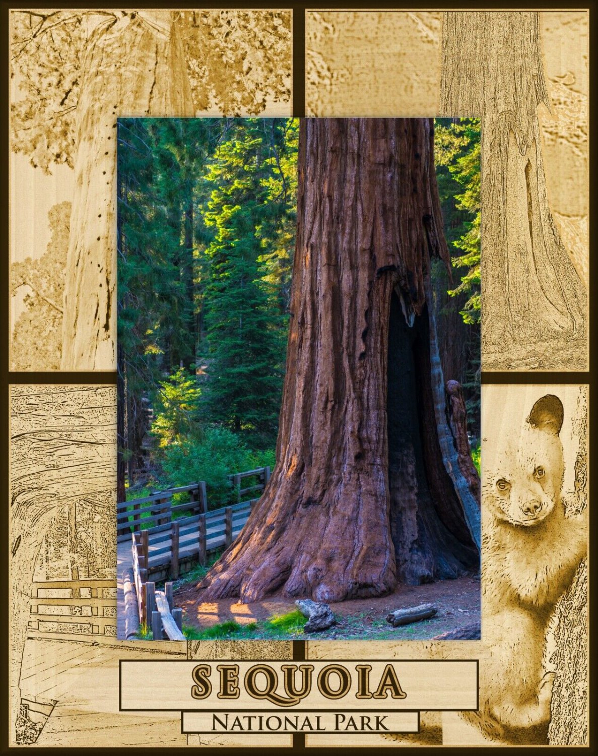 Sequoia National Park Laser Engraved Wood Picture Frame Portrait (8 x 10)