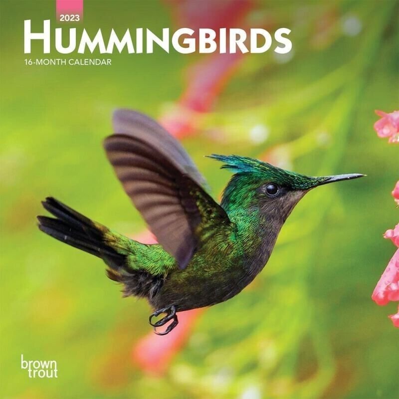 2023 Hummingbirds 7x7 16-Month Mini Wall Calendar