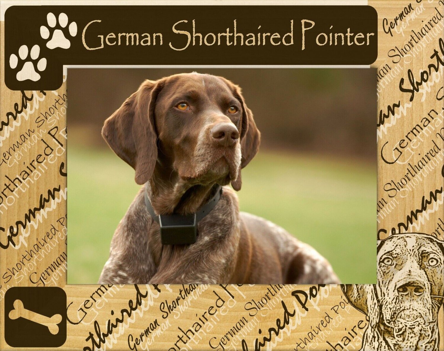German Shorthaired Pointer Laser Engraved Wood Picture Frame Landscape ...