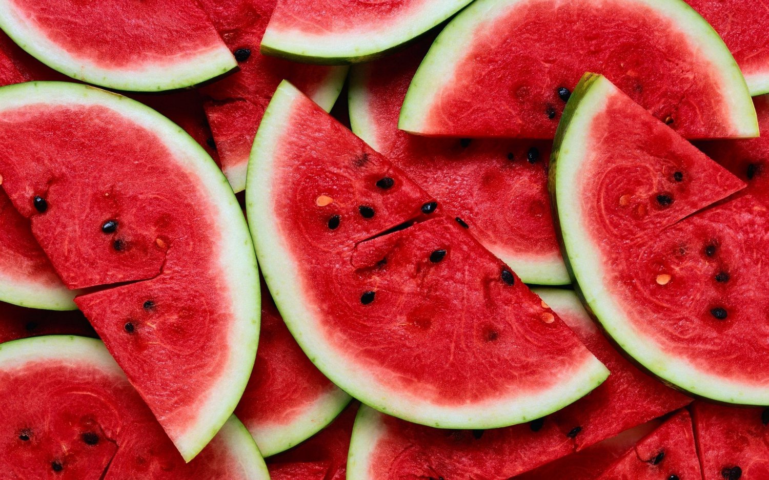 Free Shipping!10 Watermelon tree seeds! delicious fruit!! Fresh bio ...