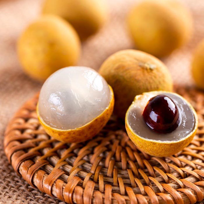 Big Longan Dimocarpus Longan Dragon Eye Tropical Live Fruit Tree 2-3Ft ...