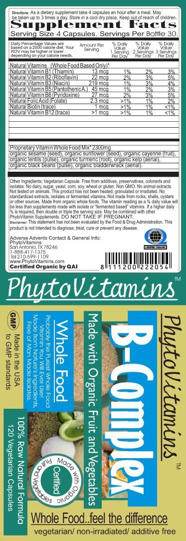 Organic Whole Food Vitamin B-Complex by PhytoVitamins; 120-Count ...