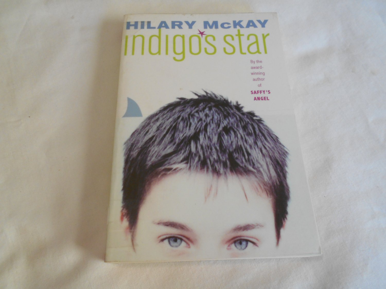 Indigo's Star by Hilary McKay (2006) (L2) Casson Family #2, Aladdin PB