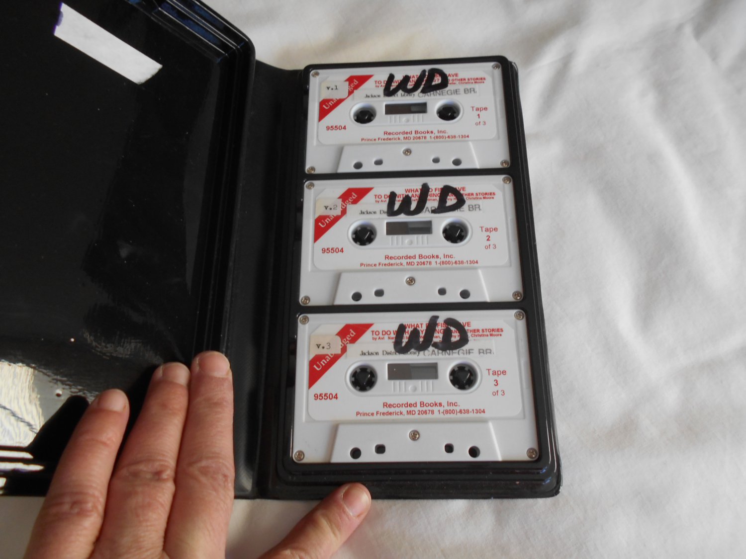 What Do Fish Have to Do with Anything? And Other Stories by Avi (1998 ...