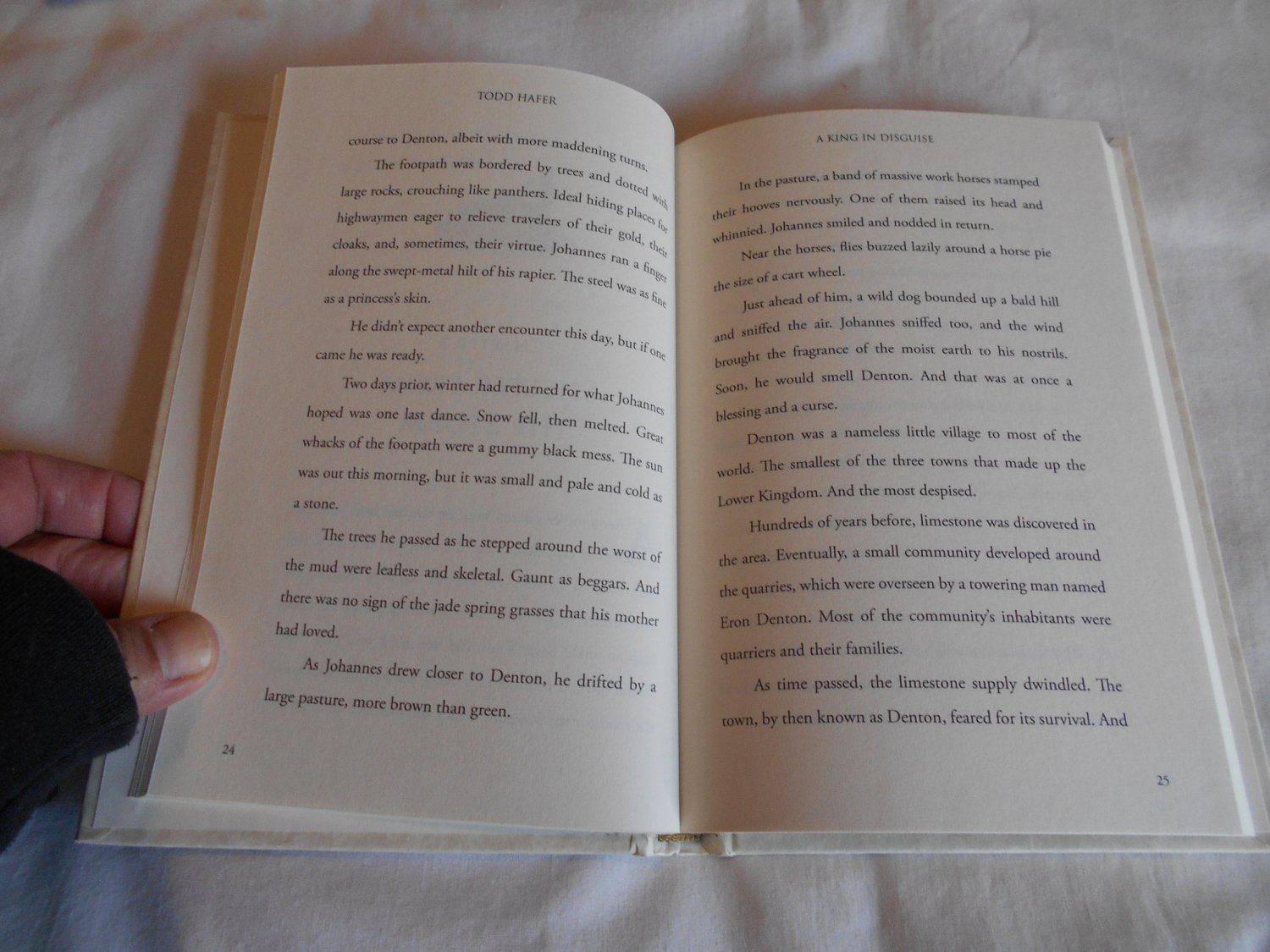 A King in Disguise: A Parable of Grace by Todd Hafer (2014) (B21 ...