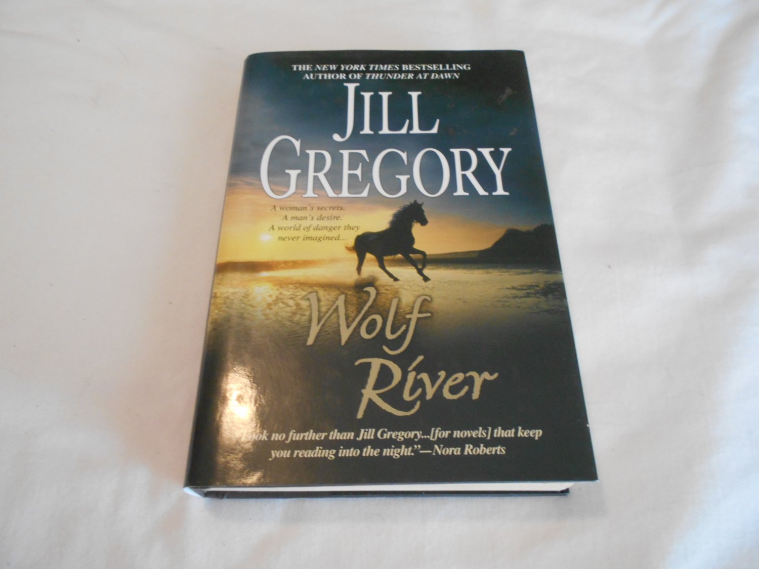 Wolf River by Jill Gregory (2007) (L33c6) Bantam Books HC