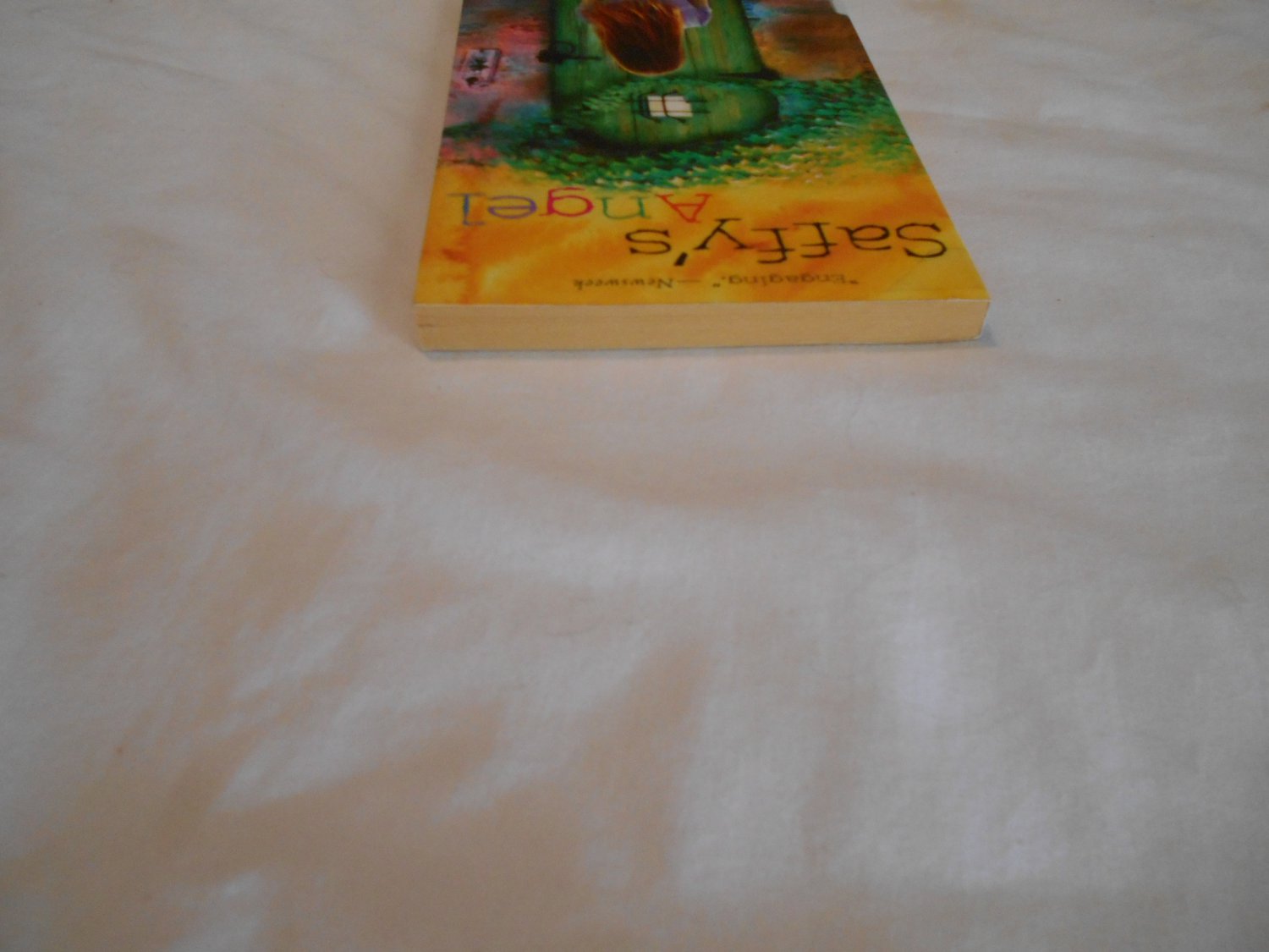 Saffy's Angel by Hilary McKay (2003) (L24d10) Casson Family #1, Aladdin PB