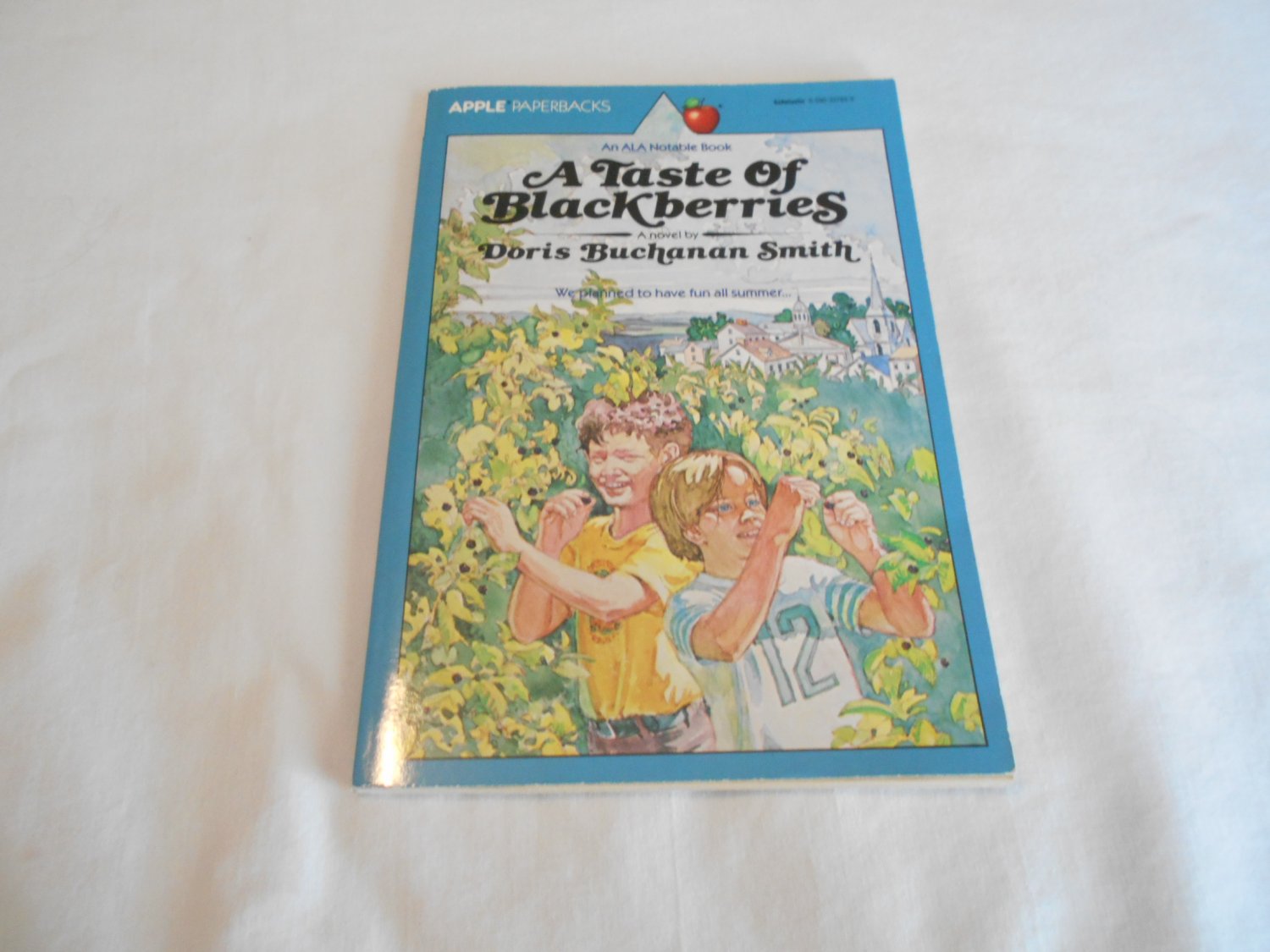 Taste of Blackberries by Doris Buchanan Smith (1973) (B34) Scholastic ...