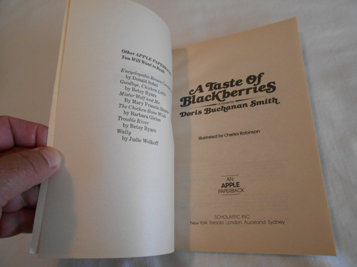 Taste of Blackberries by Doris Buchanan Smith (1973) (B34) Scholastic ...