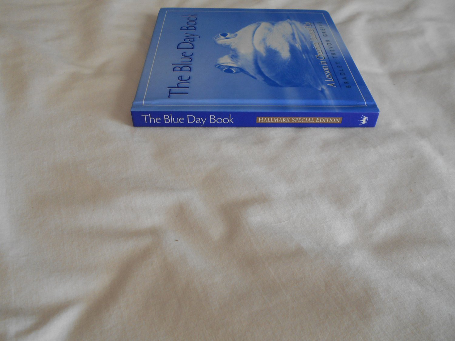 The Blue Day Book by Bradley Trevor Greive (2001) (R3) Andrews McMeel ...