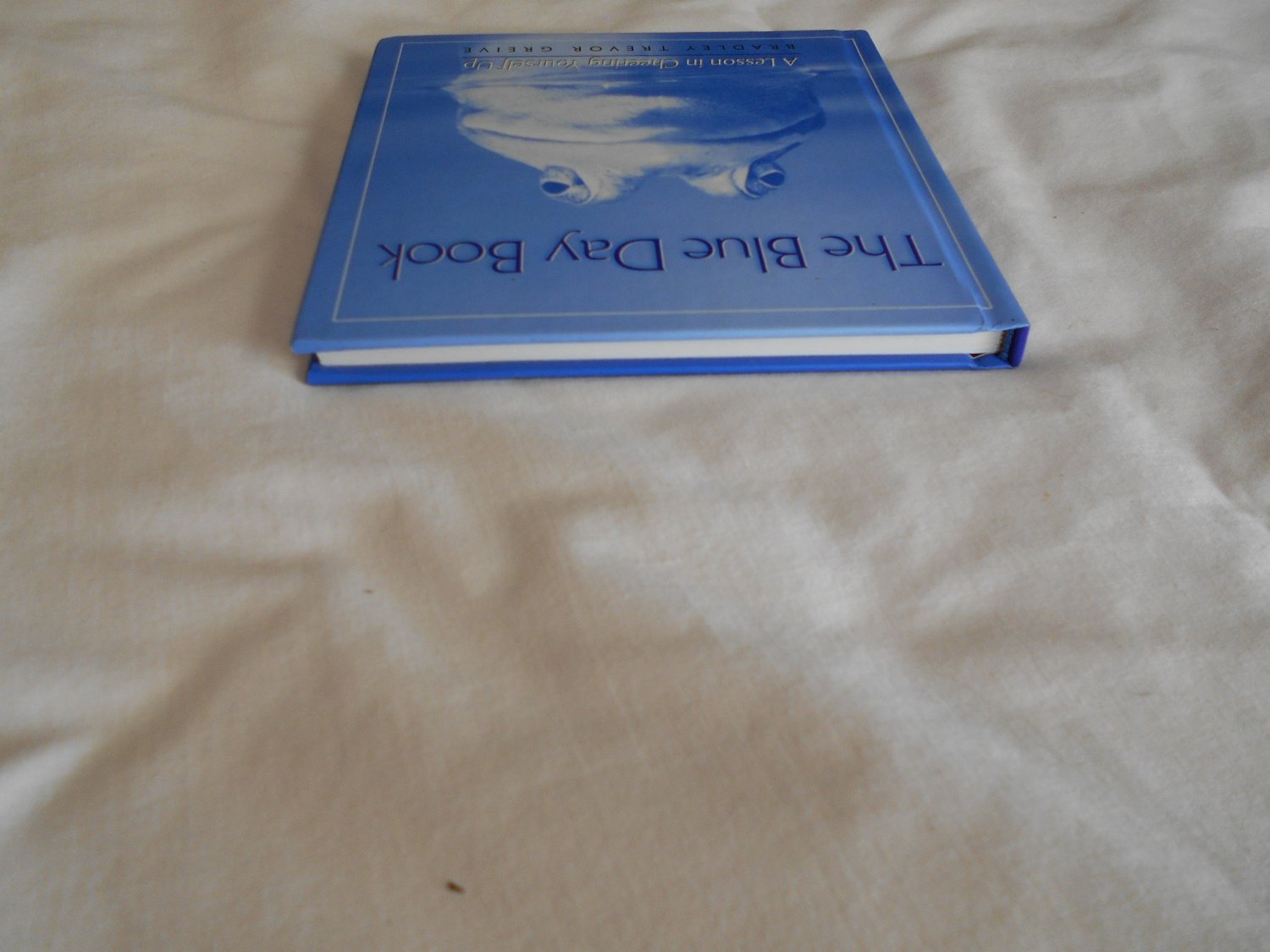 The Blue Day Book by Bradley Trevor Greive (2001) (R3) Andrews McMeel ...