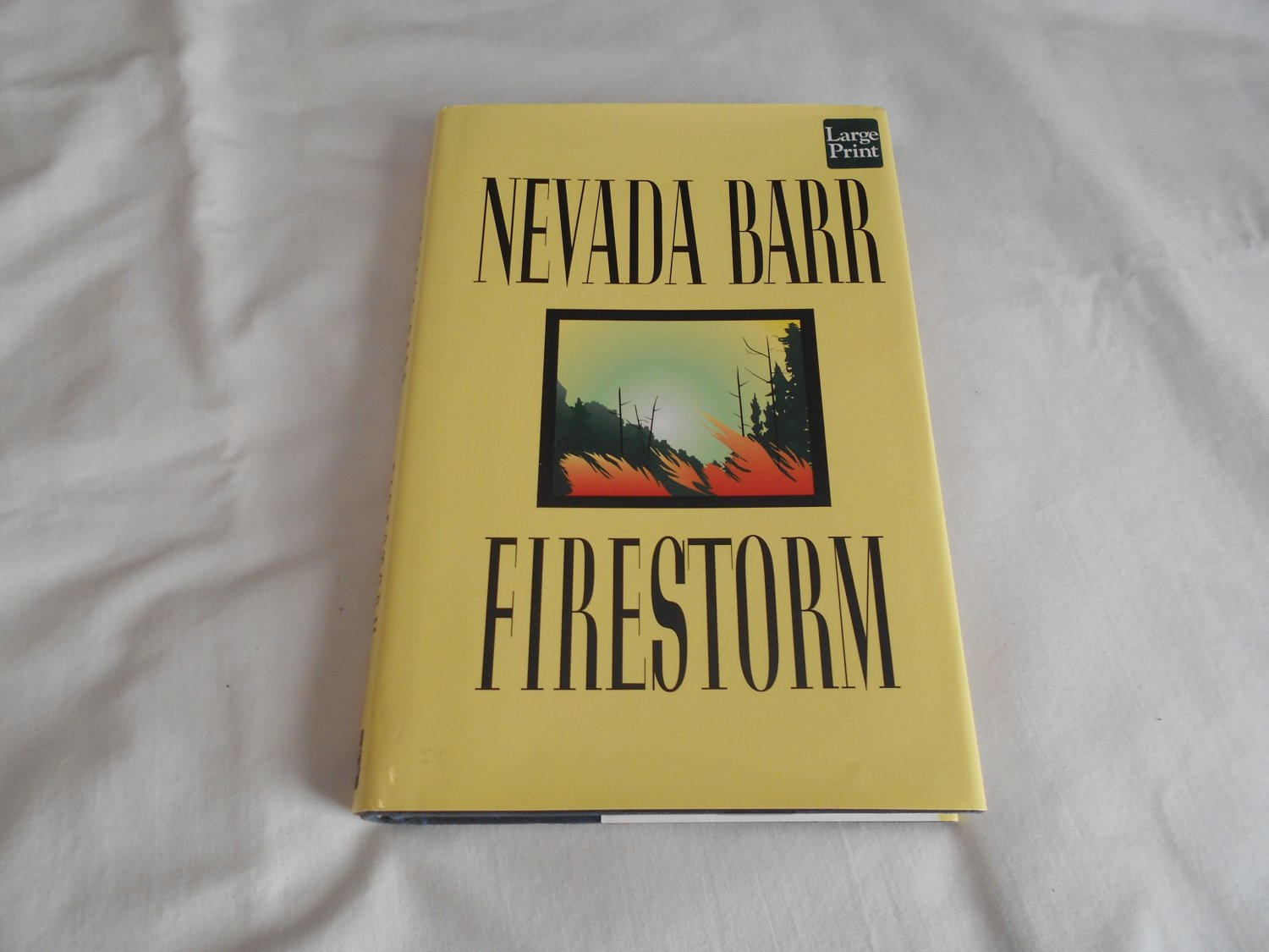 Firestorm by Nevada Barr (1996) (G1a) Anna Pigeon #4, Wheeler ...