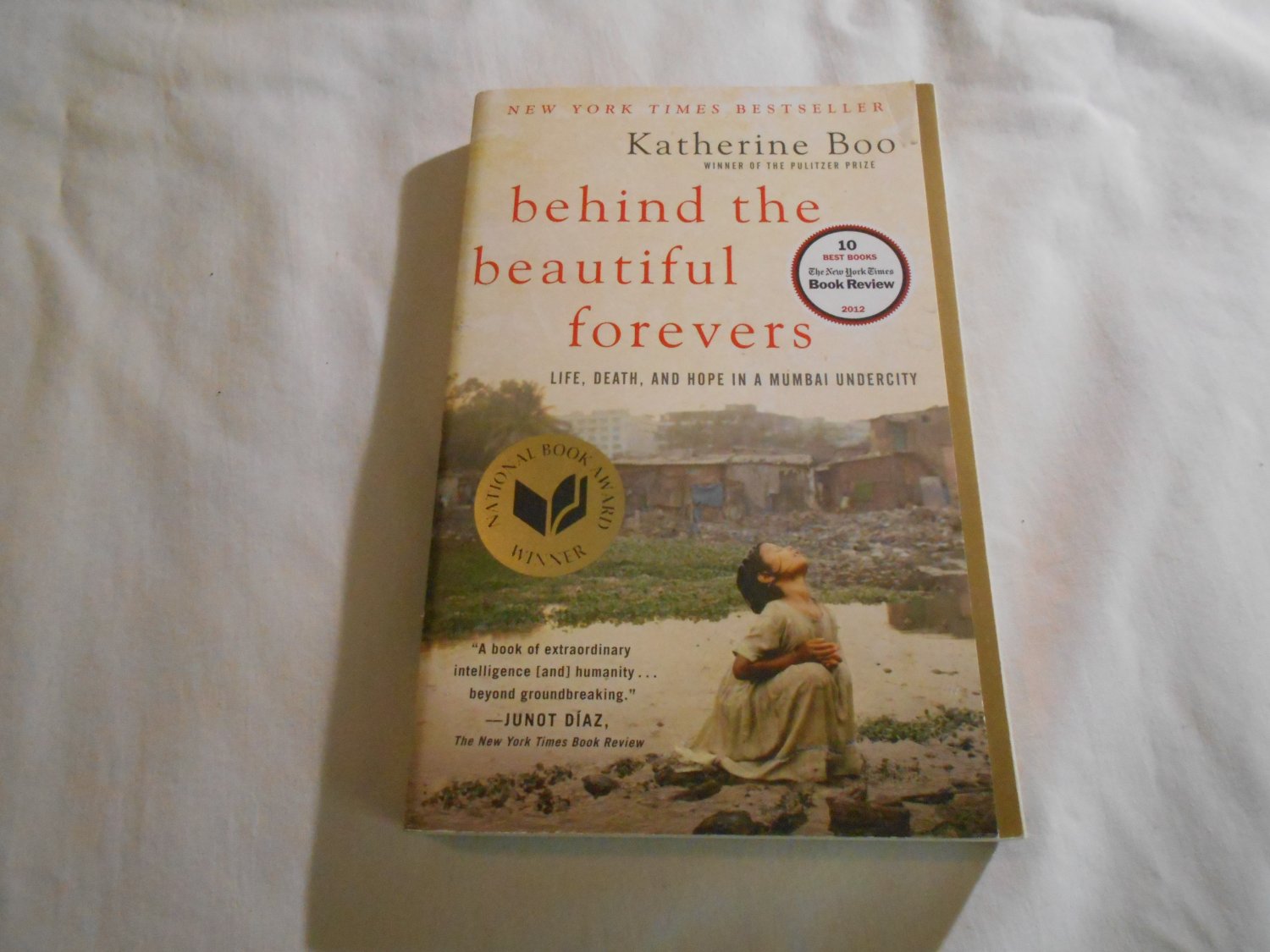 Behind the Beautiful Forevers: Life, Death, Hope in a Mumbai Undercity ...