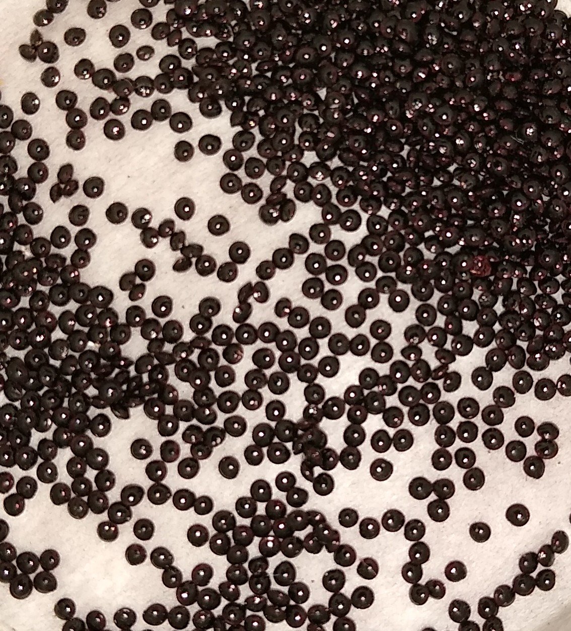 Jamaican Callaloo Seeds