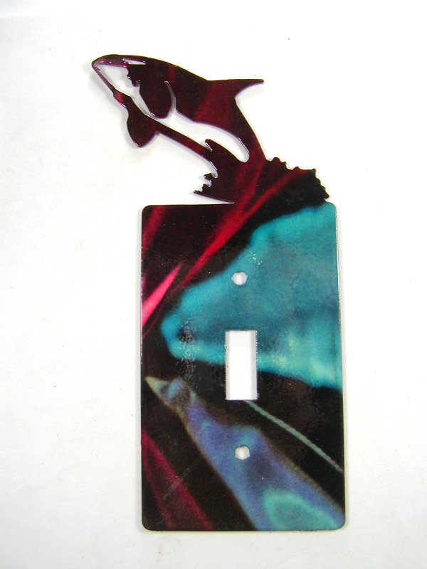 Shark Single Switch Cover Plate by Steel Images 42715