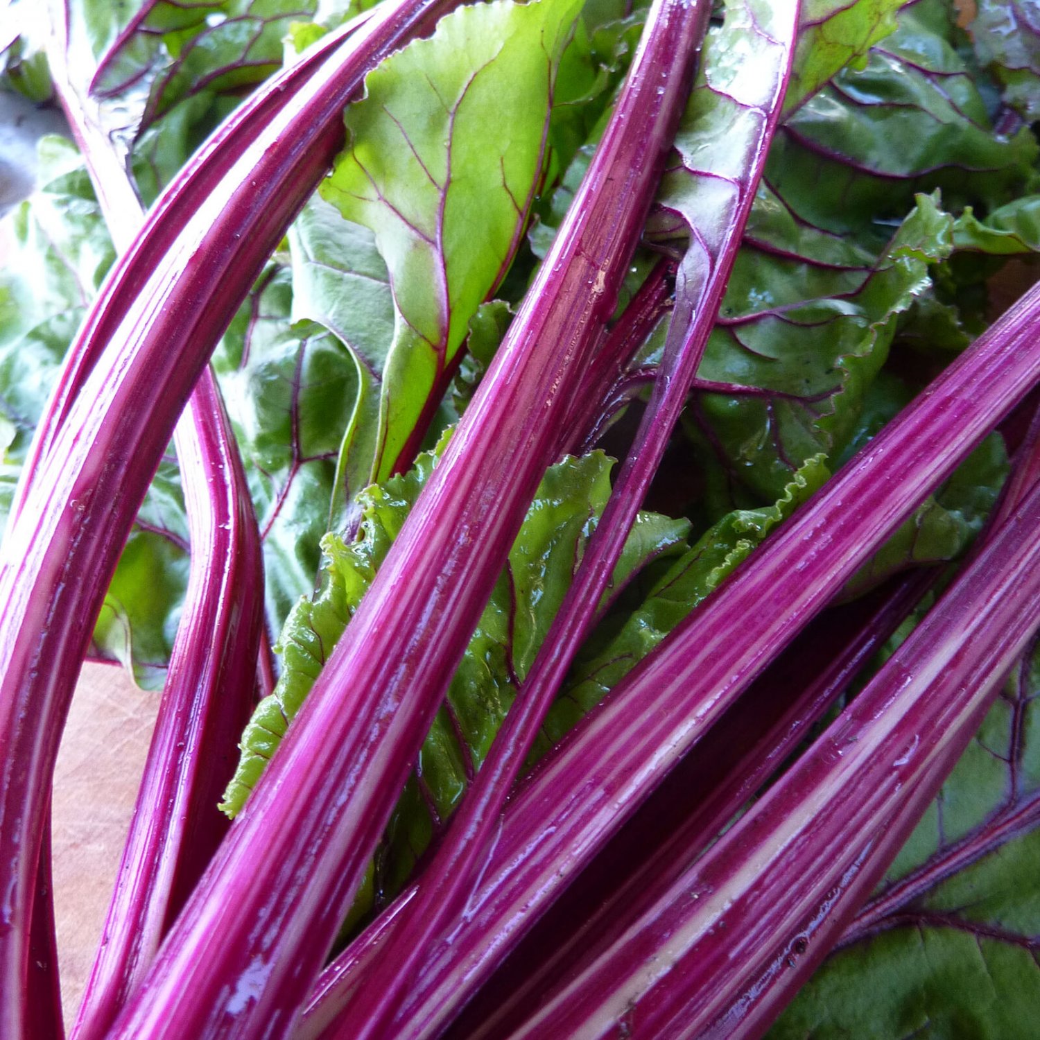 2 G Early Wonder Beet Vegetable Garden Seeds, easy to grow #IEB16