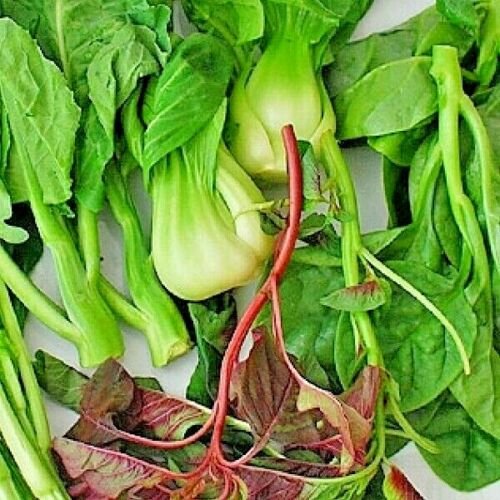 100+ Seeds / 10+ Varieties vegetable Asian Greens Mix