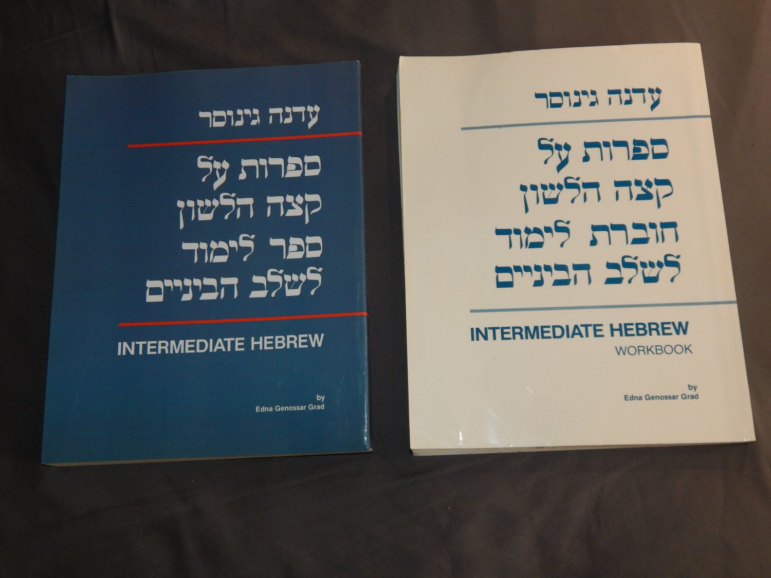 Sifrut al Ketzeh Halashon: Intermediate Hebrew with Workbook -- TWO BOOK SET -- USED BOOKS
